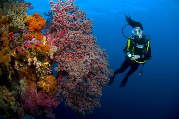 Underwater adventures builds up budding tourism market - Tourismwings