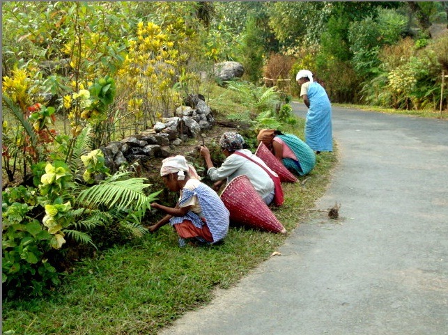 An Escape To The Asia's Cleanest Village - Meghalaya's Mawlynnong ...